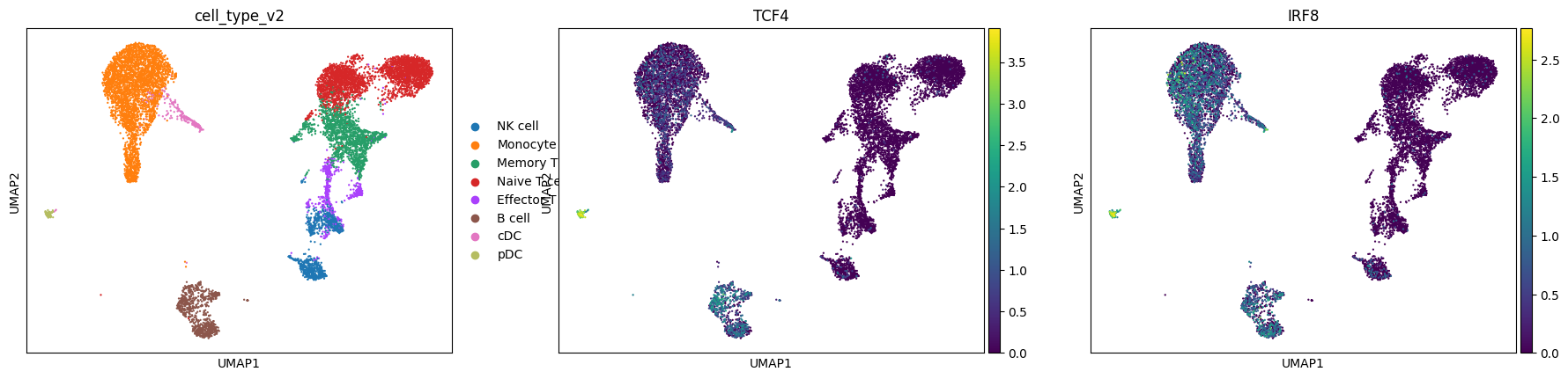 Prepare Data for Cell2Net Training on PBMC — Cell2net 0.13 documentation